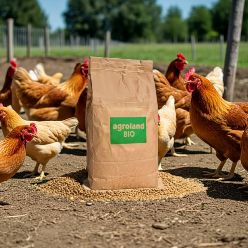Furaj Bio pentru găini ouătoare, 20 kg