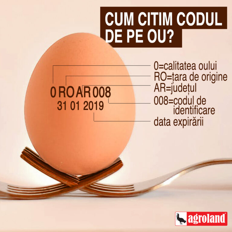 Semnificația codurilor de pe ouă - cum le descifrezi