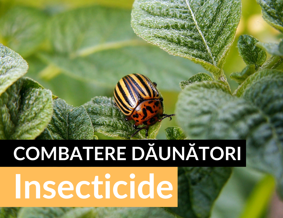 Combaterea dăunătorilor - Agroland