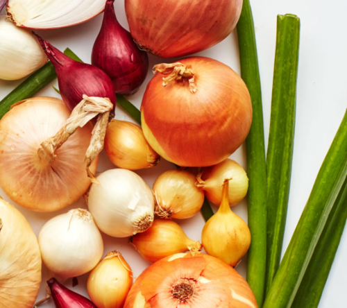 Tot ce trebuie să știi despre cultura cepei în grădină – Agroland