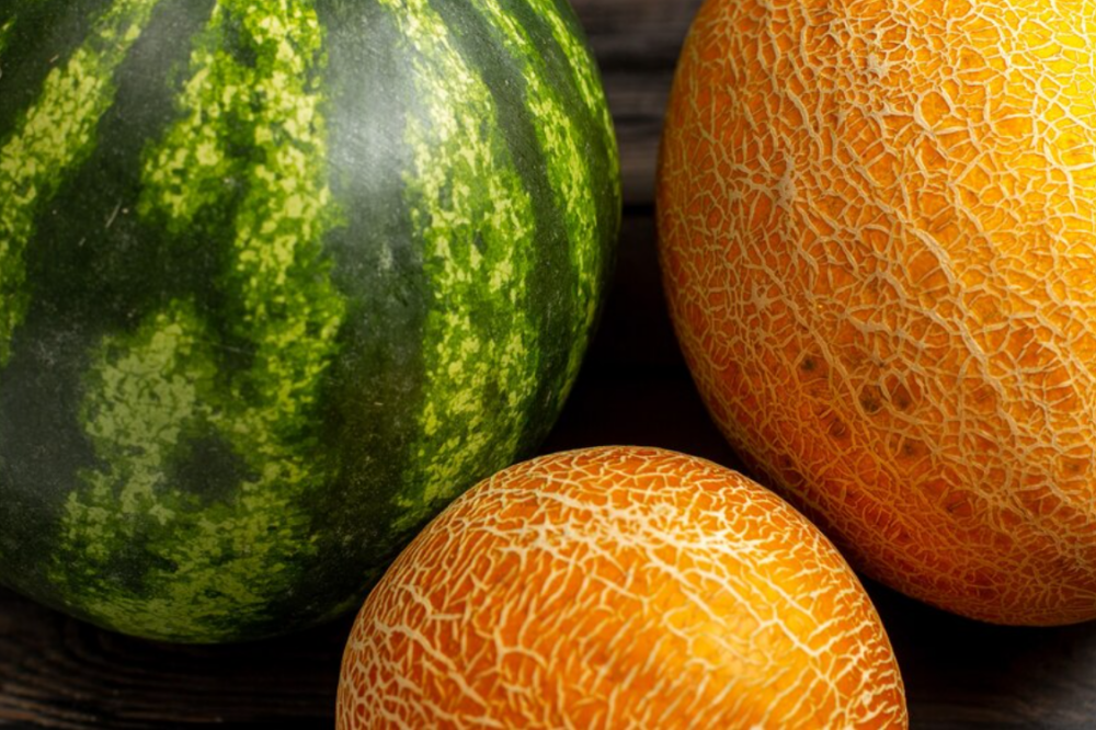 Bolile și dăunătorii din cultura de pepeni - Agroland