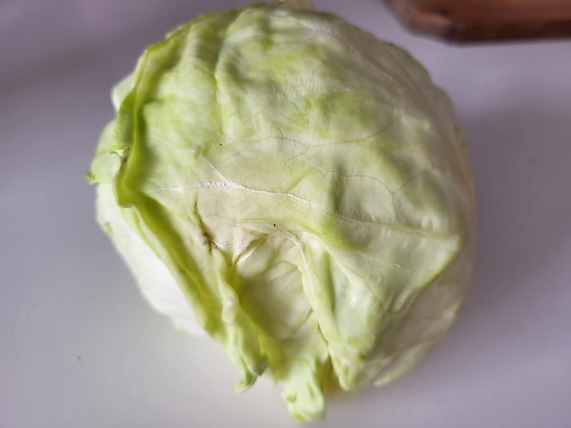 Boli și dăunători din cultura de varză - Agroland