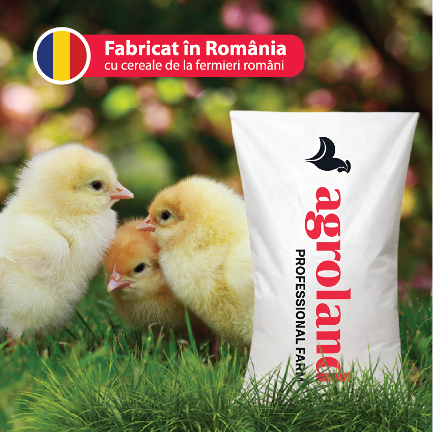 Furaje Specializate pentru Miei și Pui! - Agroland